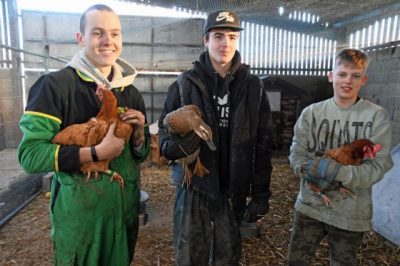 Chickens Changing Lives with Animal Antiks - Backyard Poultry